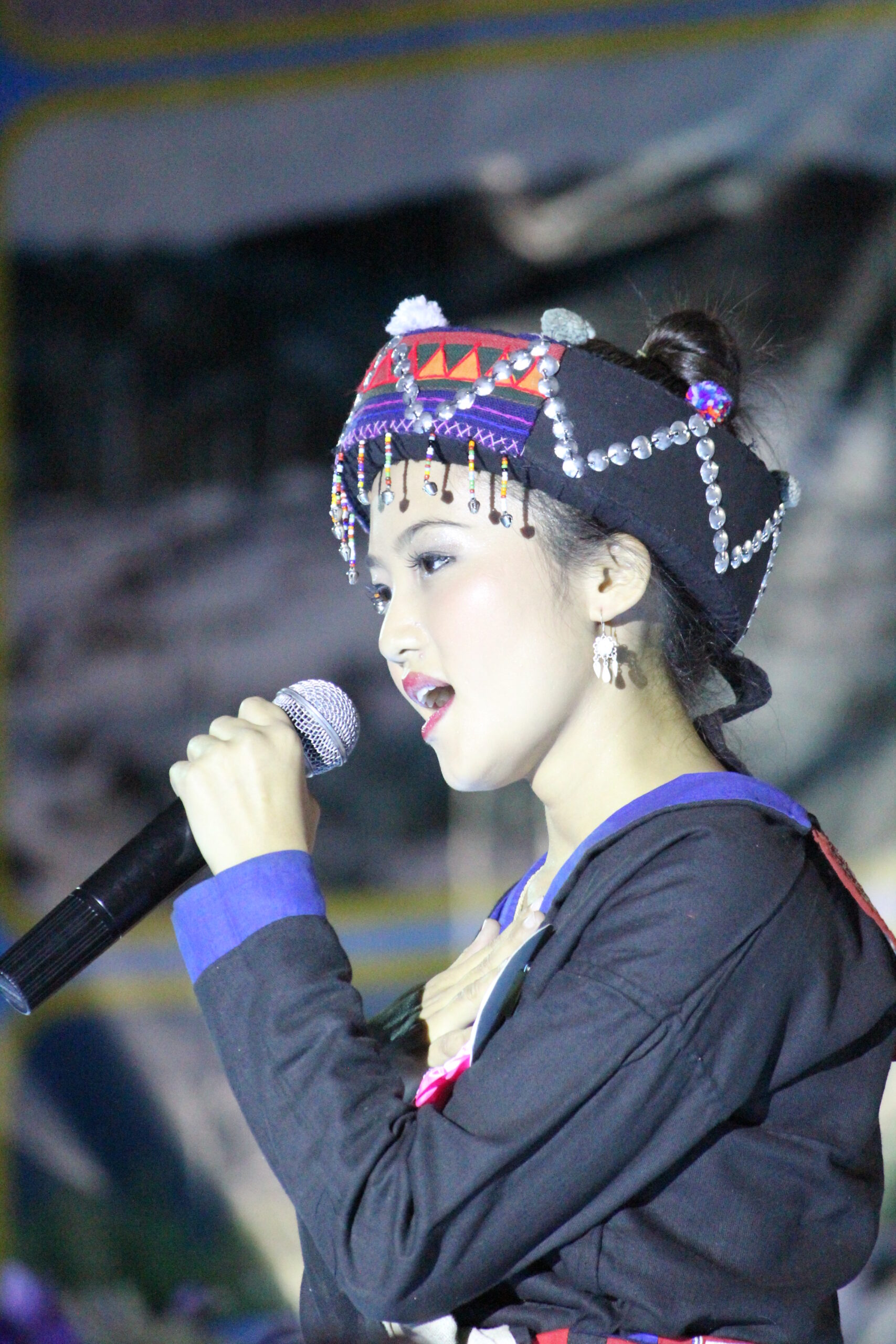 Hmong Diaspora Celebration 2025 - The Hmong Institute